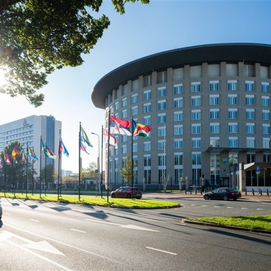 Events | Stories of Purpose - The Hague