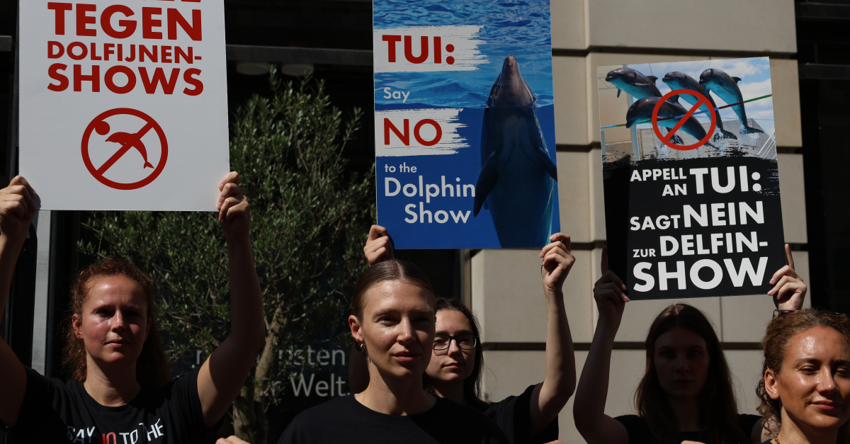 The Hague-based animal welfare group calls for an end to dolphin ...